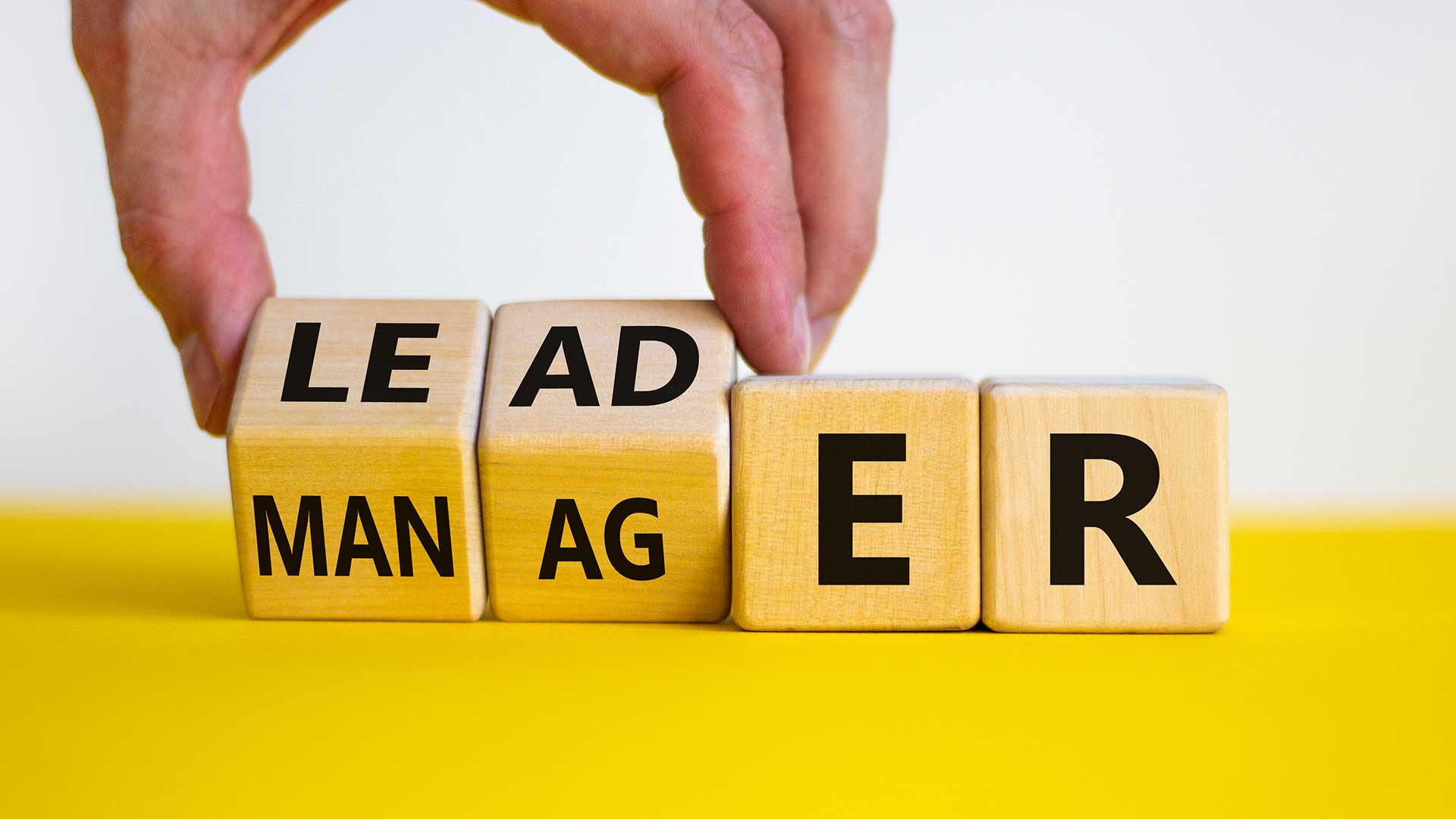 How To Create An Effective Manager Development And Training Program 